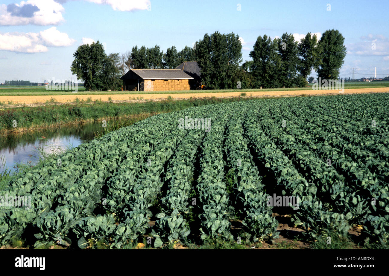 Country of sealand hi-res stock photography and images - Alamy