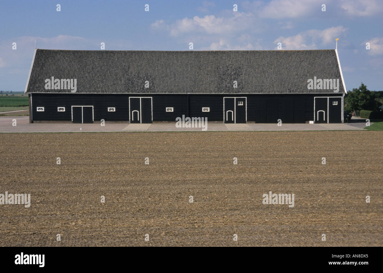 Sealand Zeeland Netherlands holland farm farmer Stock Photo - Alamy