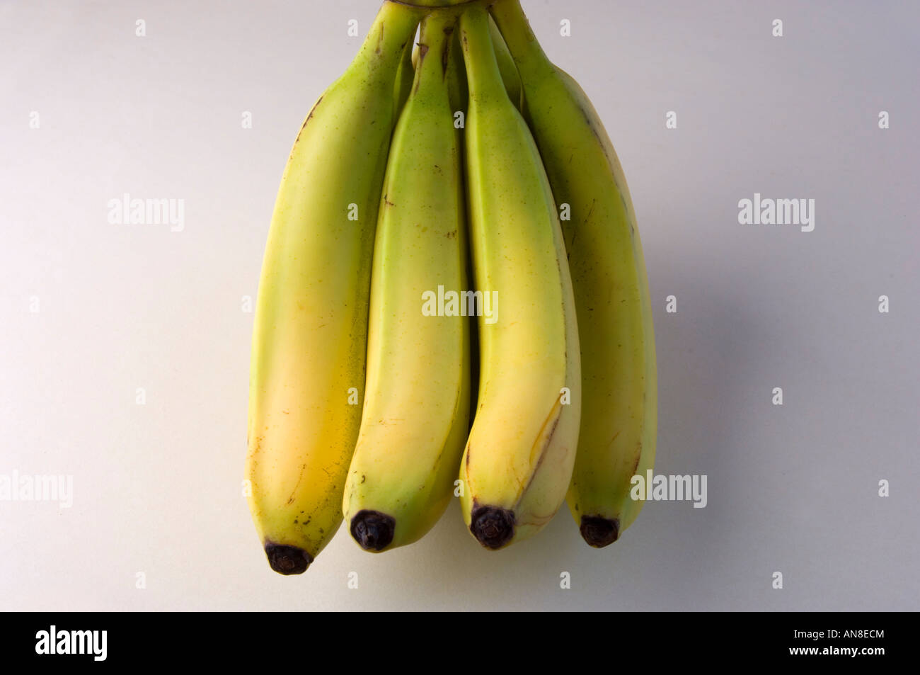 bunch of bananas Stock Photo - Alamy