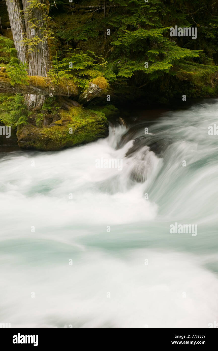 Water flow and tree Stock Photo - Alamy