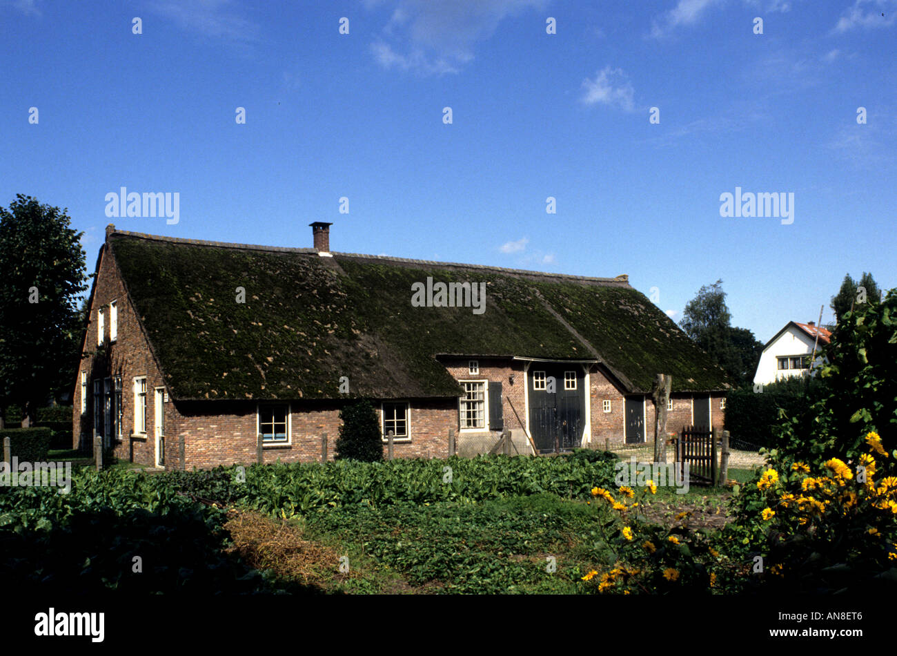Gooi hi-res stock photography and images - Alamy
