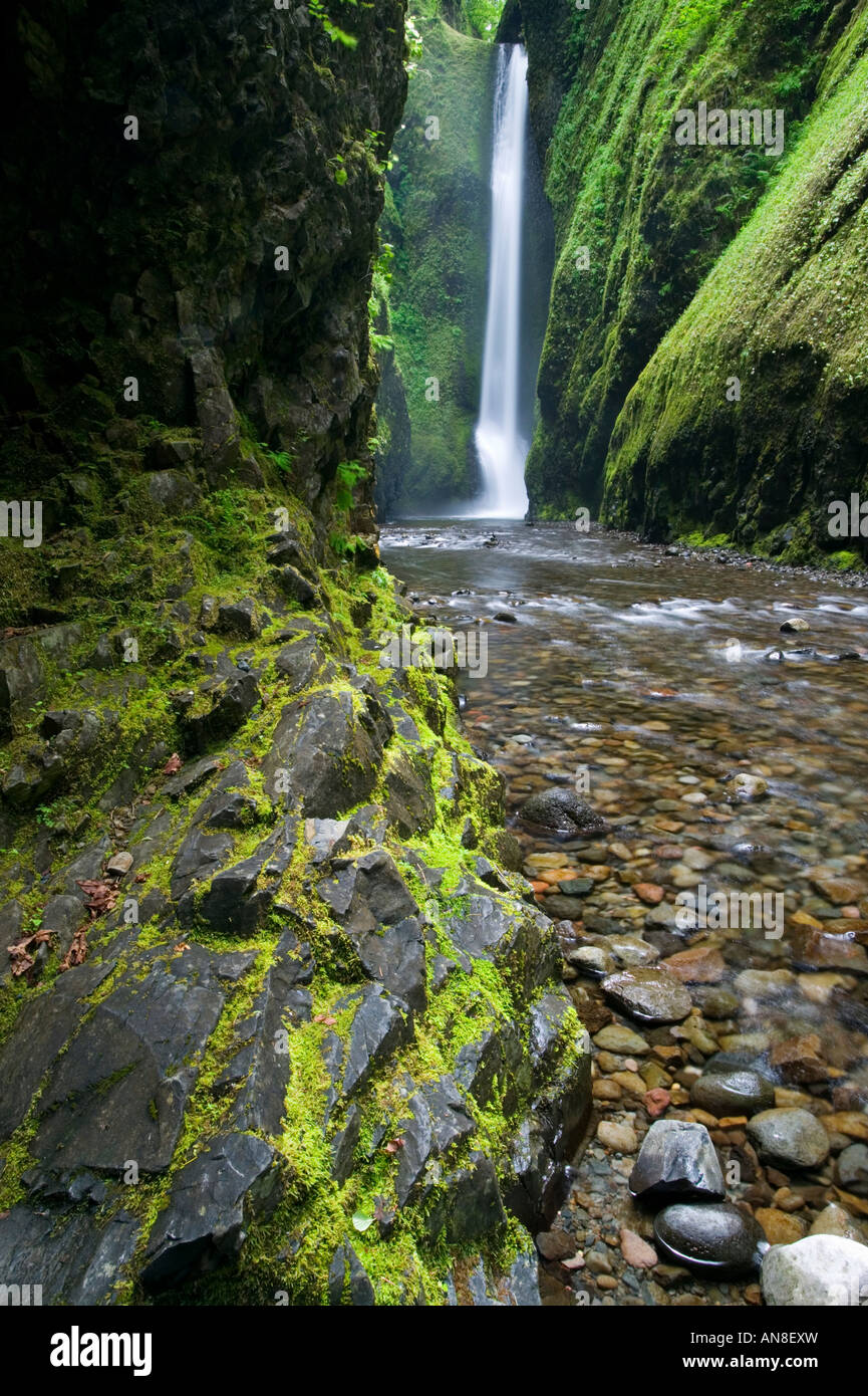 Oneonta gorge falls Stock Photo - Alamy