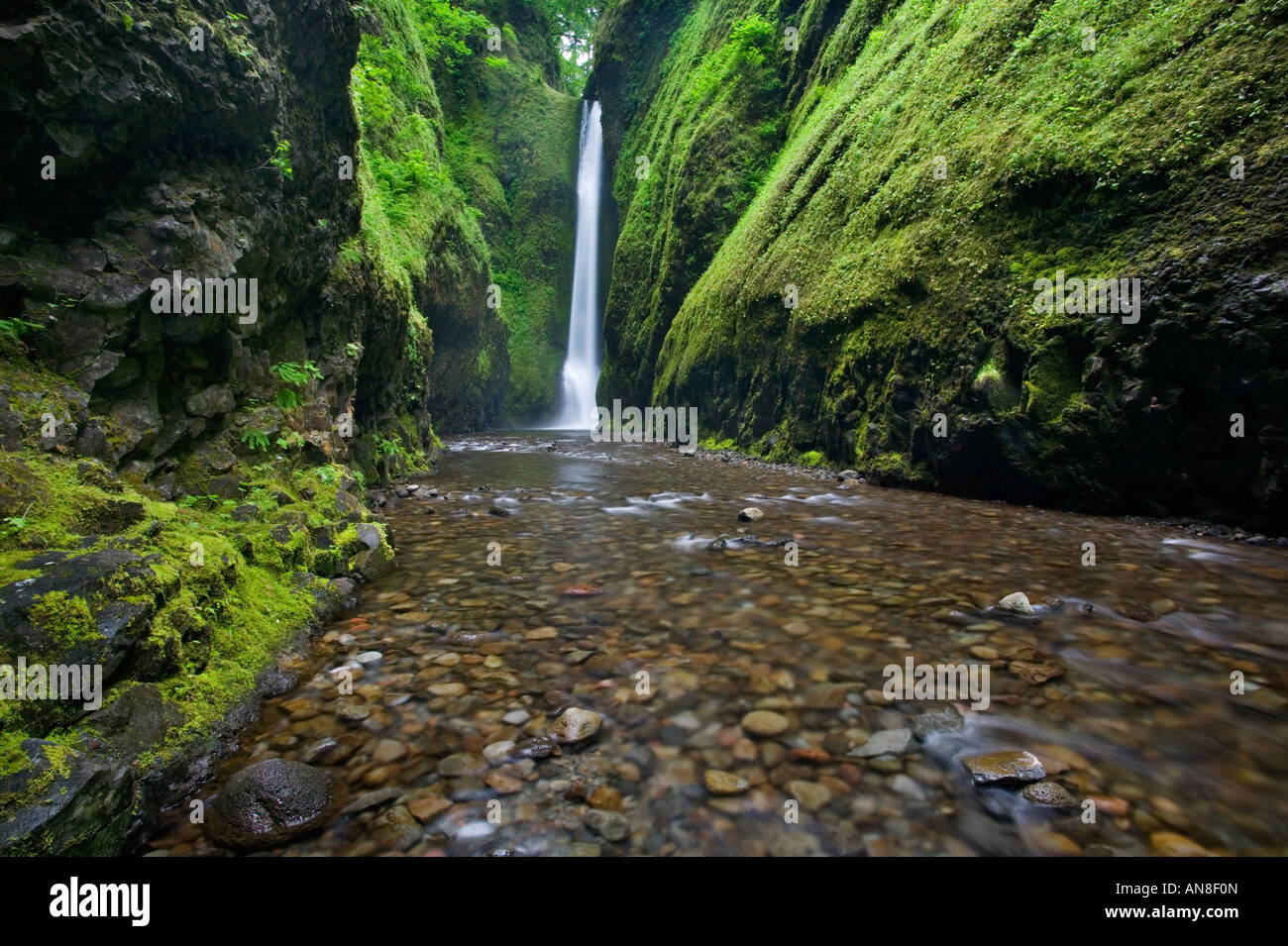 Oneonta gorge falls Stock Photo - Alamy