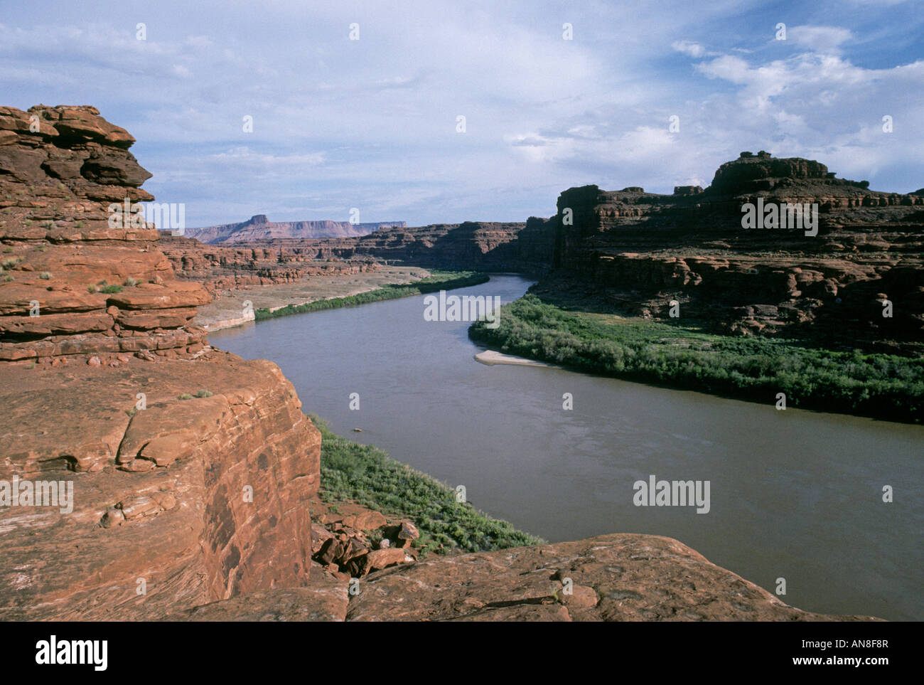 A view of the slickrock canyons along the Colorado River in Cataract ...