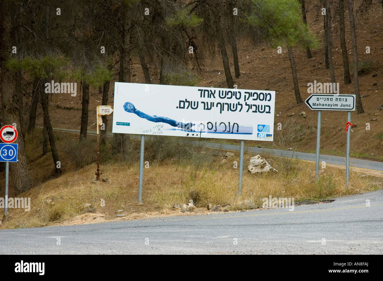 Israel Galilee Biria forest A Hebrew fire awareness sign in a pine tree ...