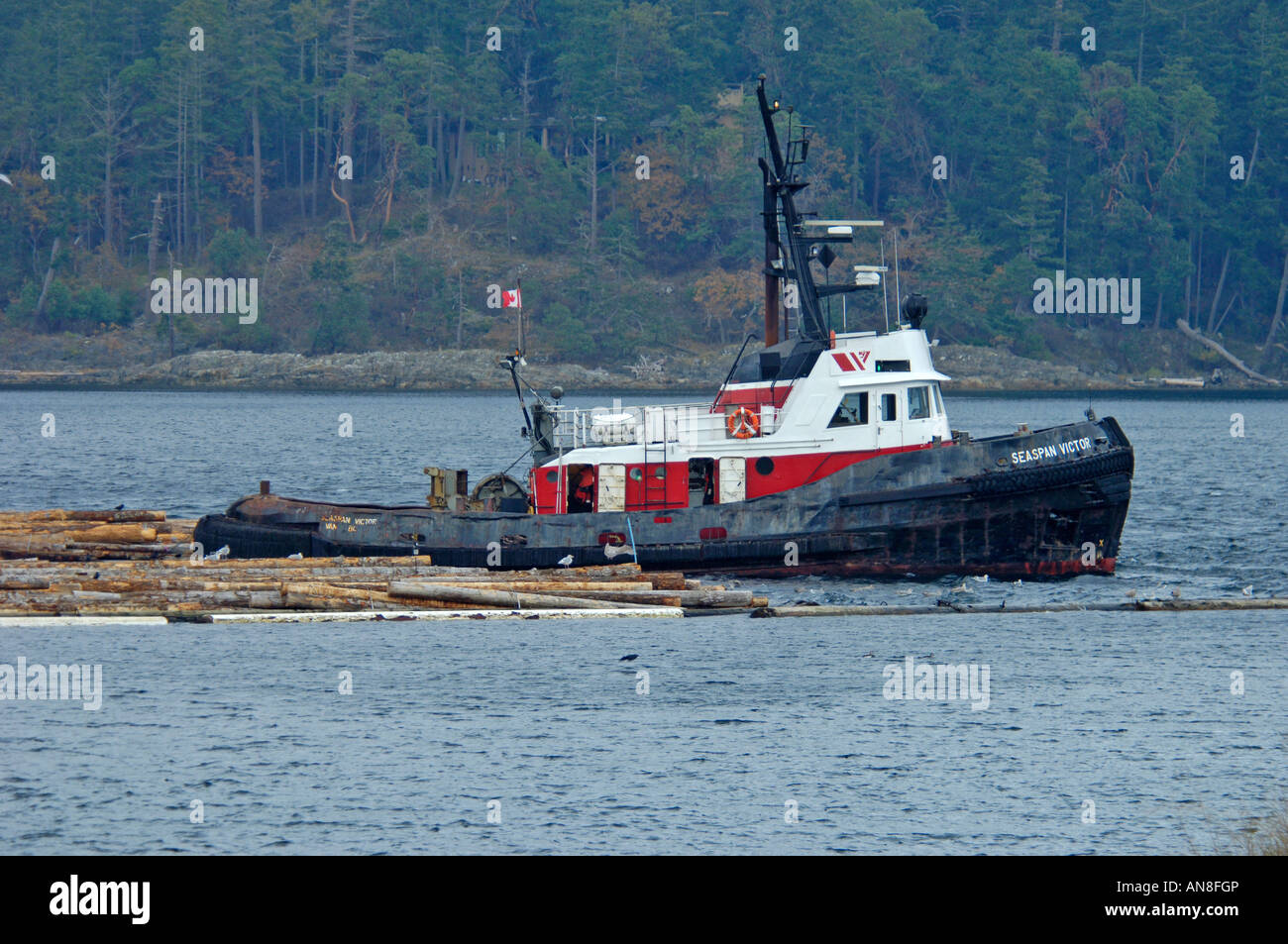 Log Boom Tug Timber Raft being towed in the Georgia Strait, British ...