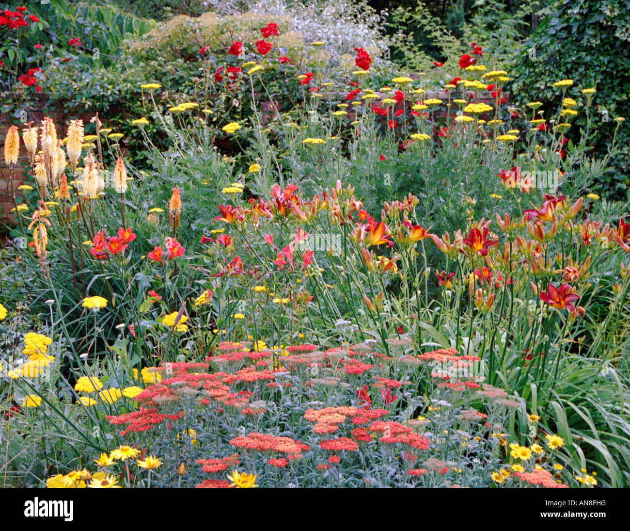 Garden border of 'hot' (red, orange, yellow) flowers Stock Photo - Alamy