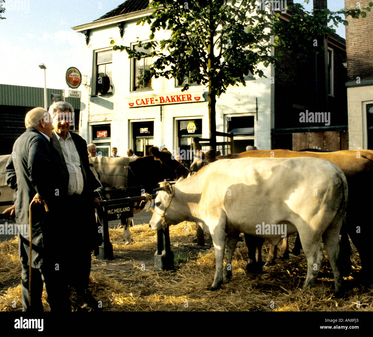Old cattle market hi-res stock photography and images - Alamy