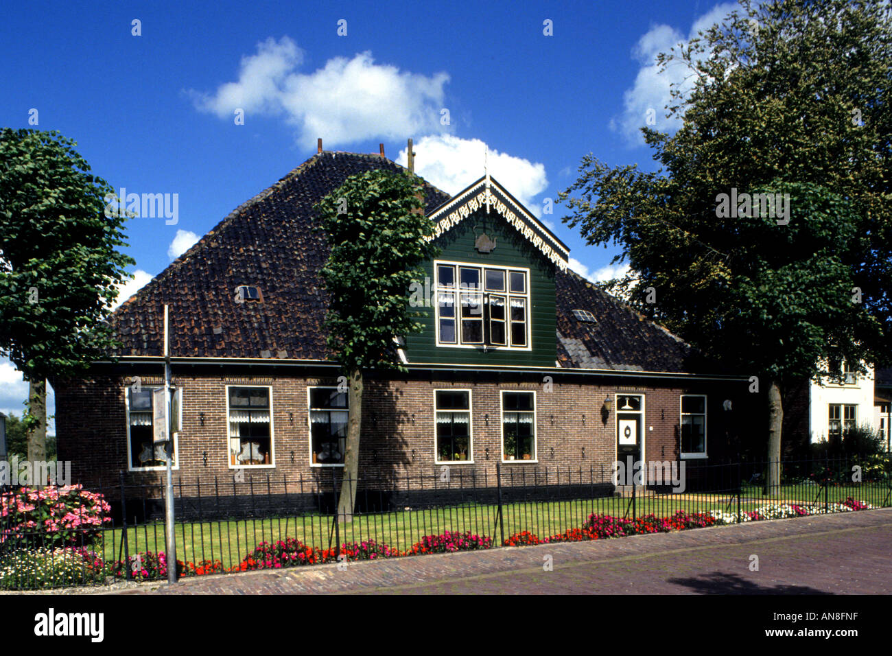 Farm Texel Holland Waddenzee Netherlands sea island Stock Photo - Alamy