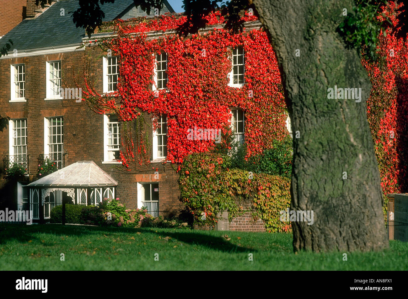 Ivy covered buildings of Southern Hay Exeter Stock Photo - Alamy