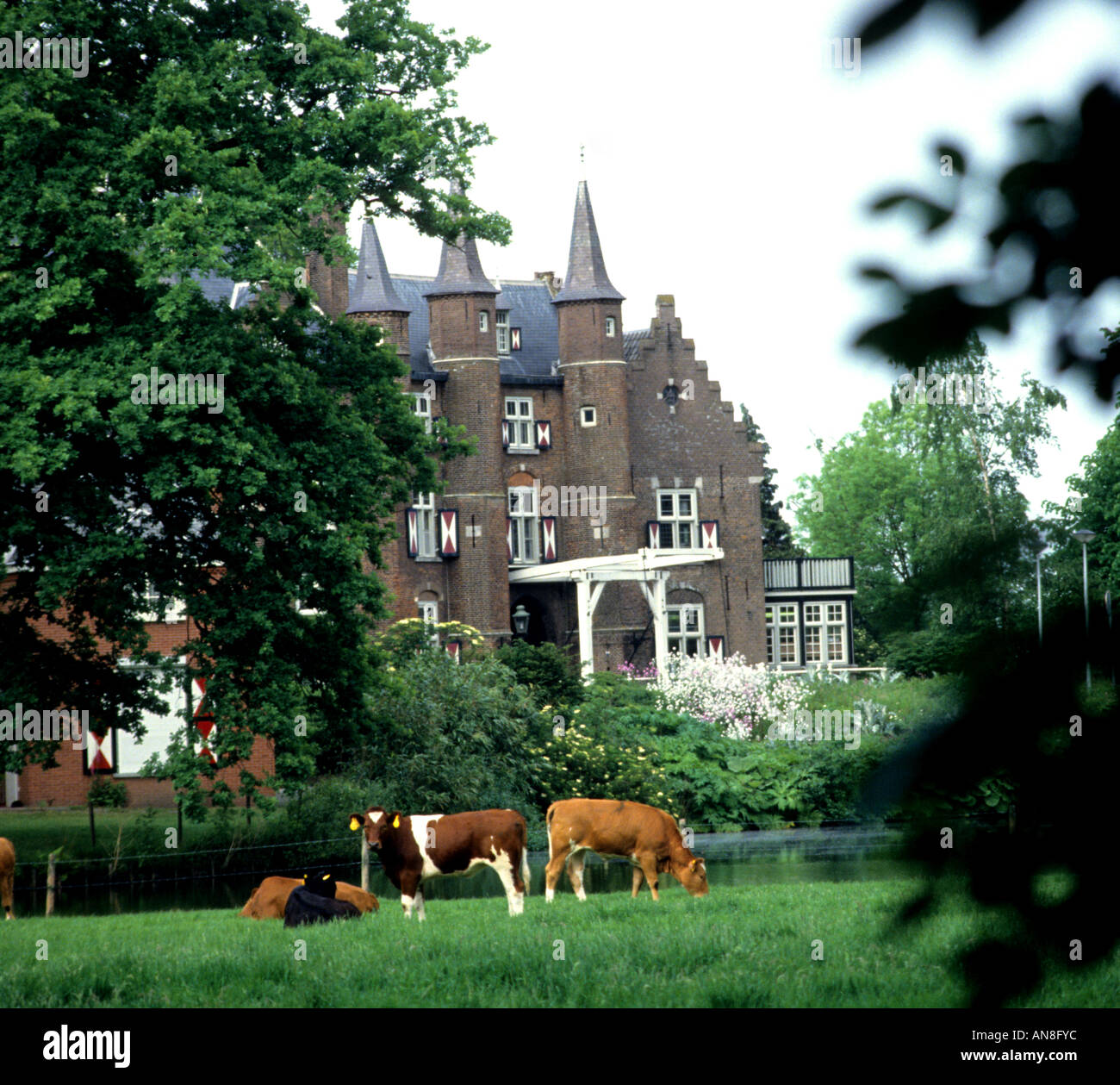 Cow castle hi-res stock photography and images - Alamy