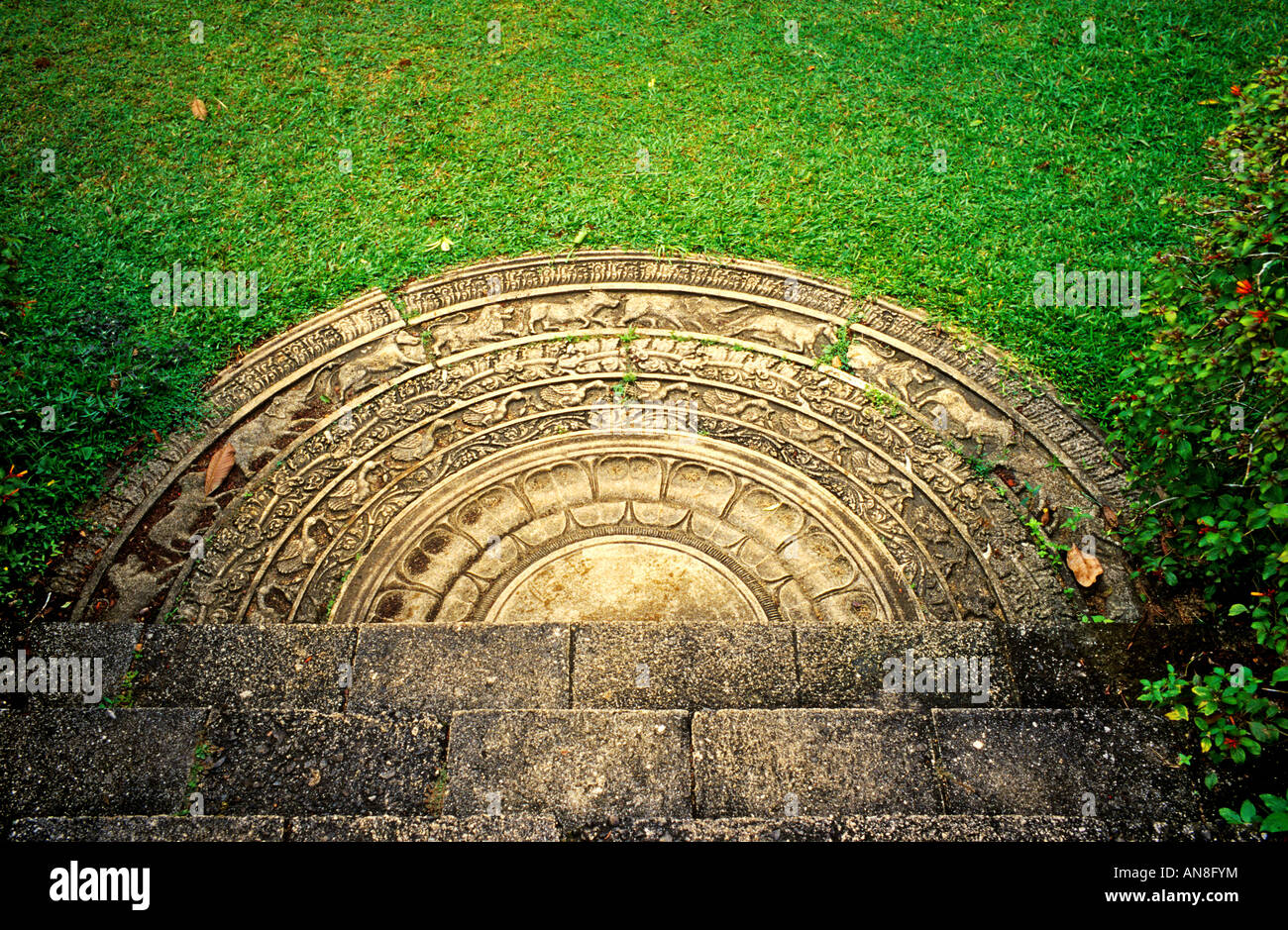 Semi circular steps hi-res stock photography and images - Alamy