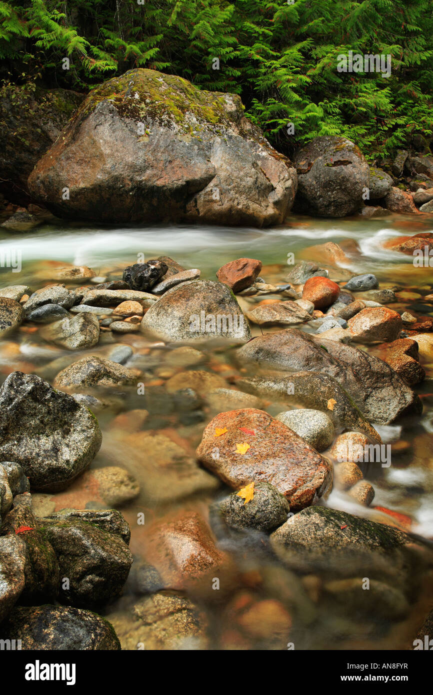 Rocks along the Skagit River in Washington state Stock Photo - Alamy