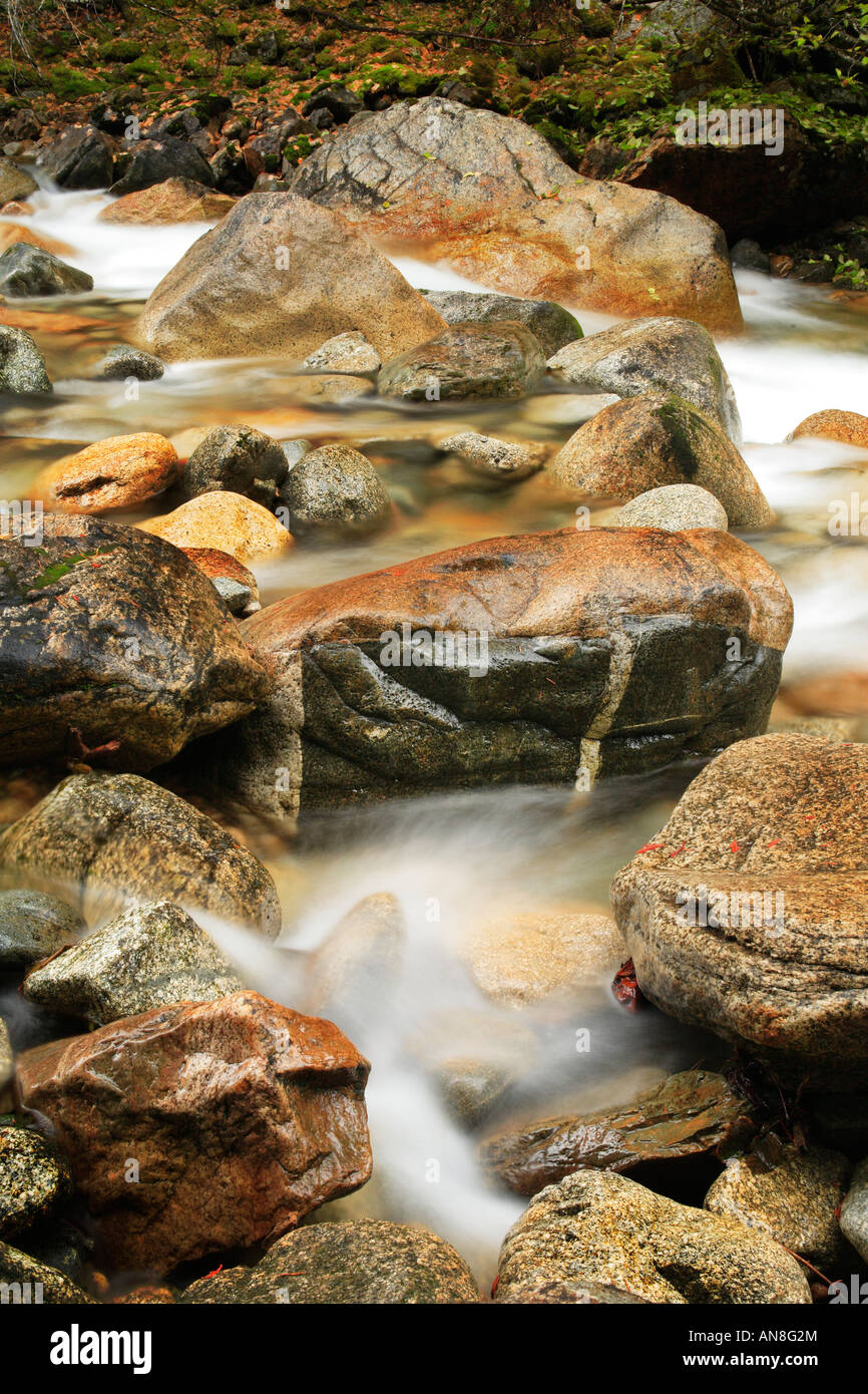 Rocks along the Skagit River in Washington state Stock Photo - Alamy