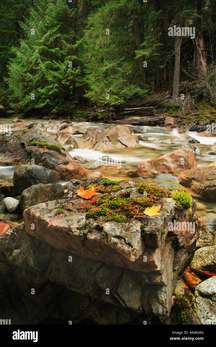 Rocks along the Skagit River in Washington state Stock Photo - Alamy