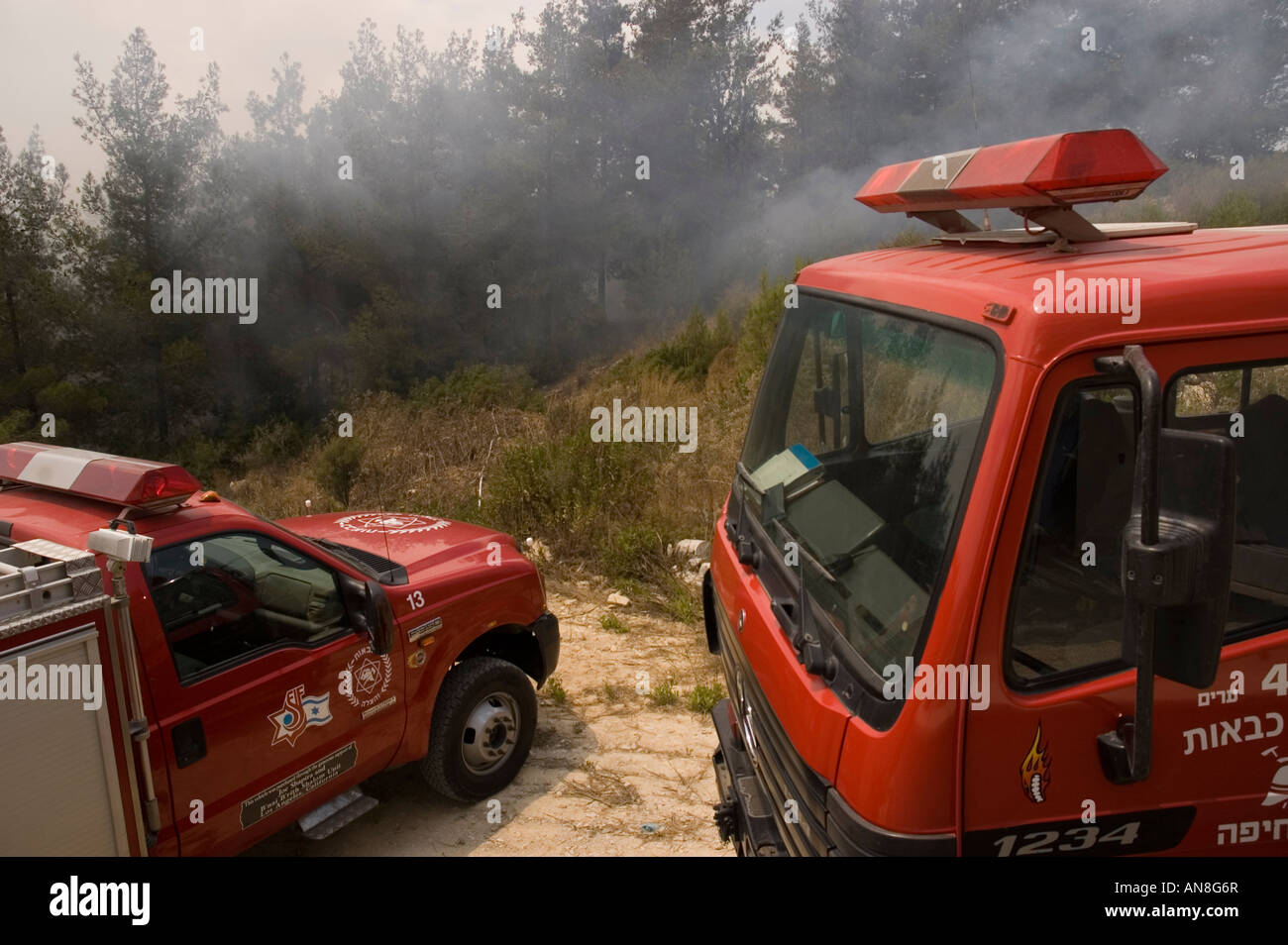 Israel Fire fighters extinguishing a forest fire July 8th 2007 Stock ...