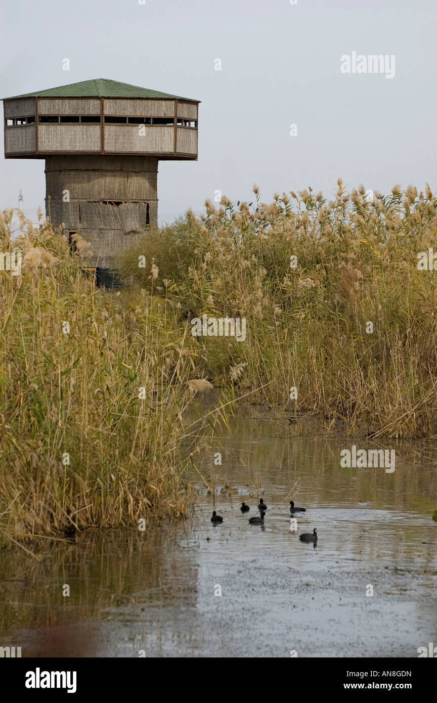 Israel Hula Valley Agamon lake a look out hide used for bird research ...