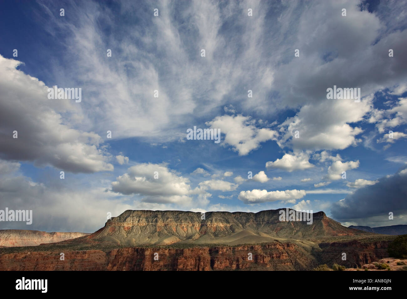 Grand canyon toroweap overlook Stock Photo - Alamy