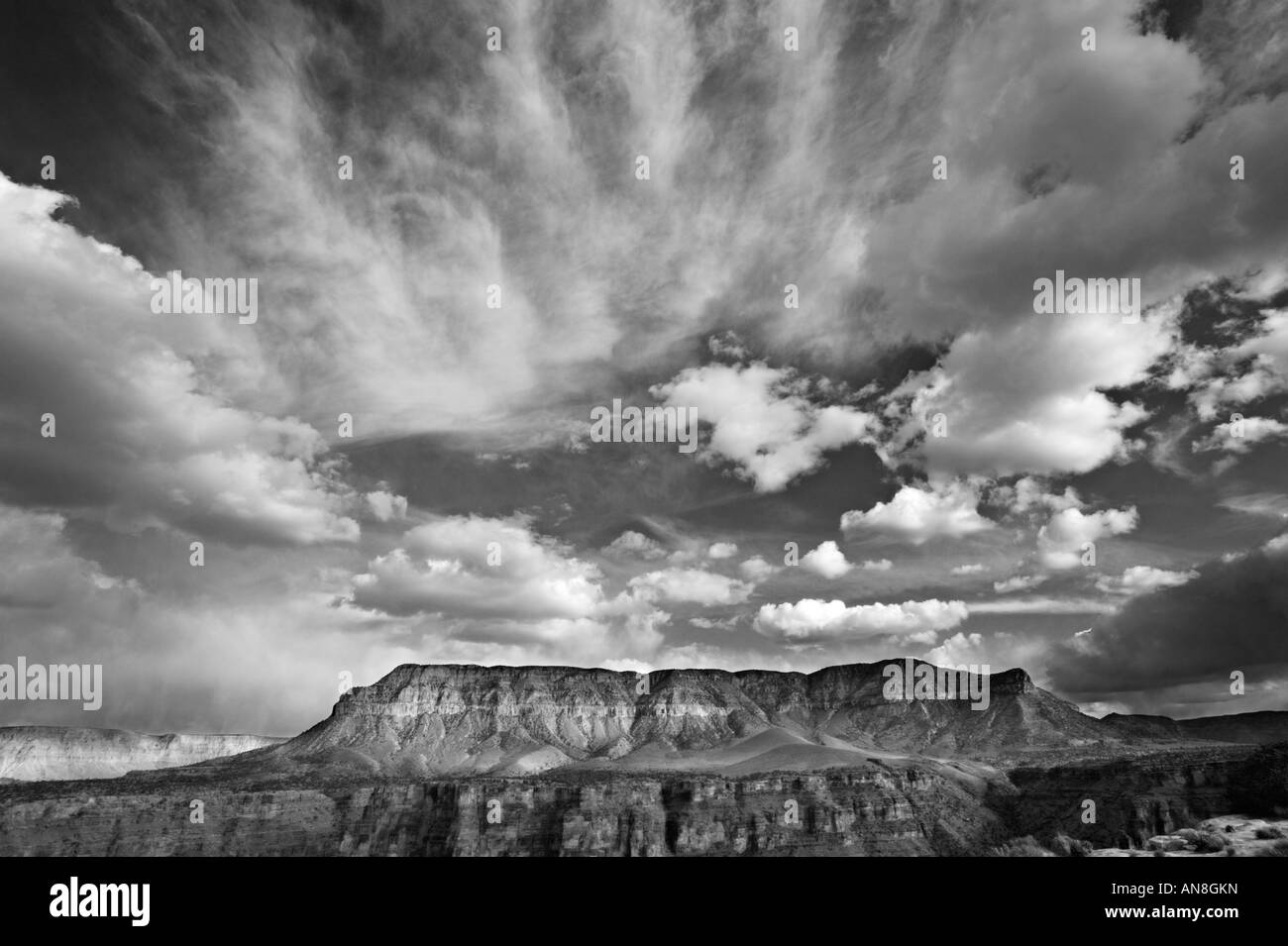 Grand canyon toroweap overlook Stock Photo - Alamy