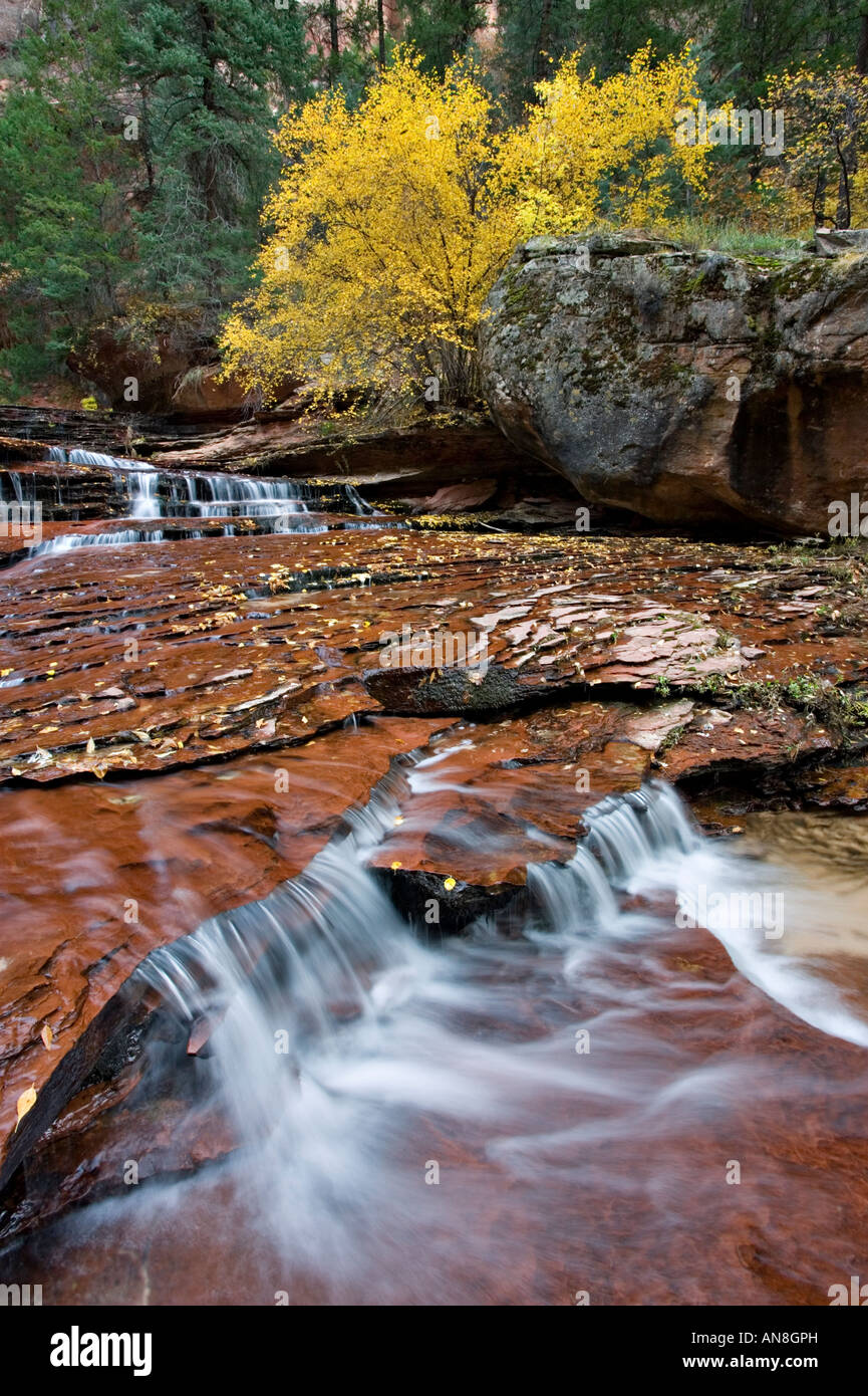 Subway - Left Fork of North Creek Stock Photo - Alamy