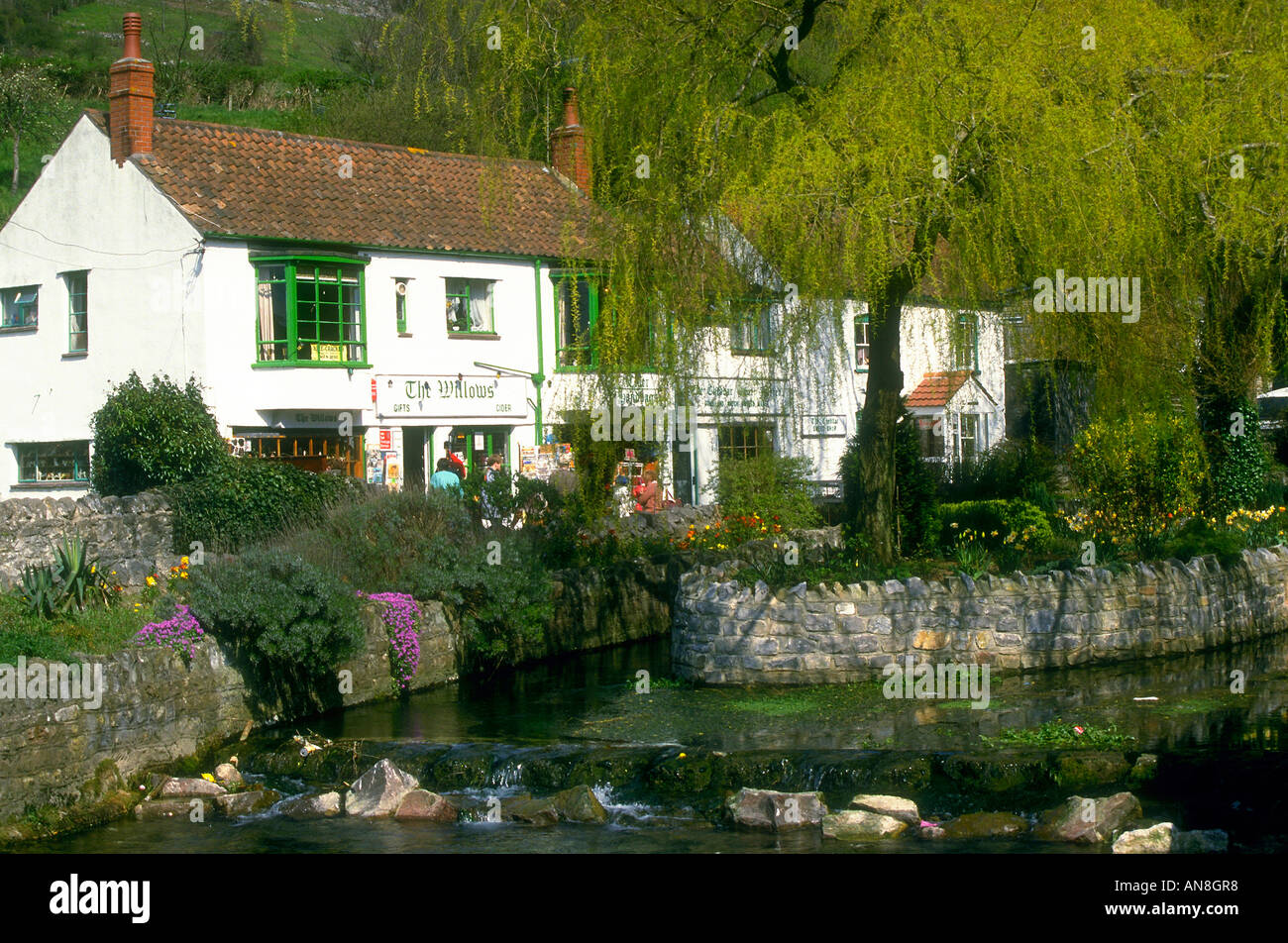Cheddar village hi-res stock photography and images - Alamy