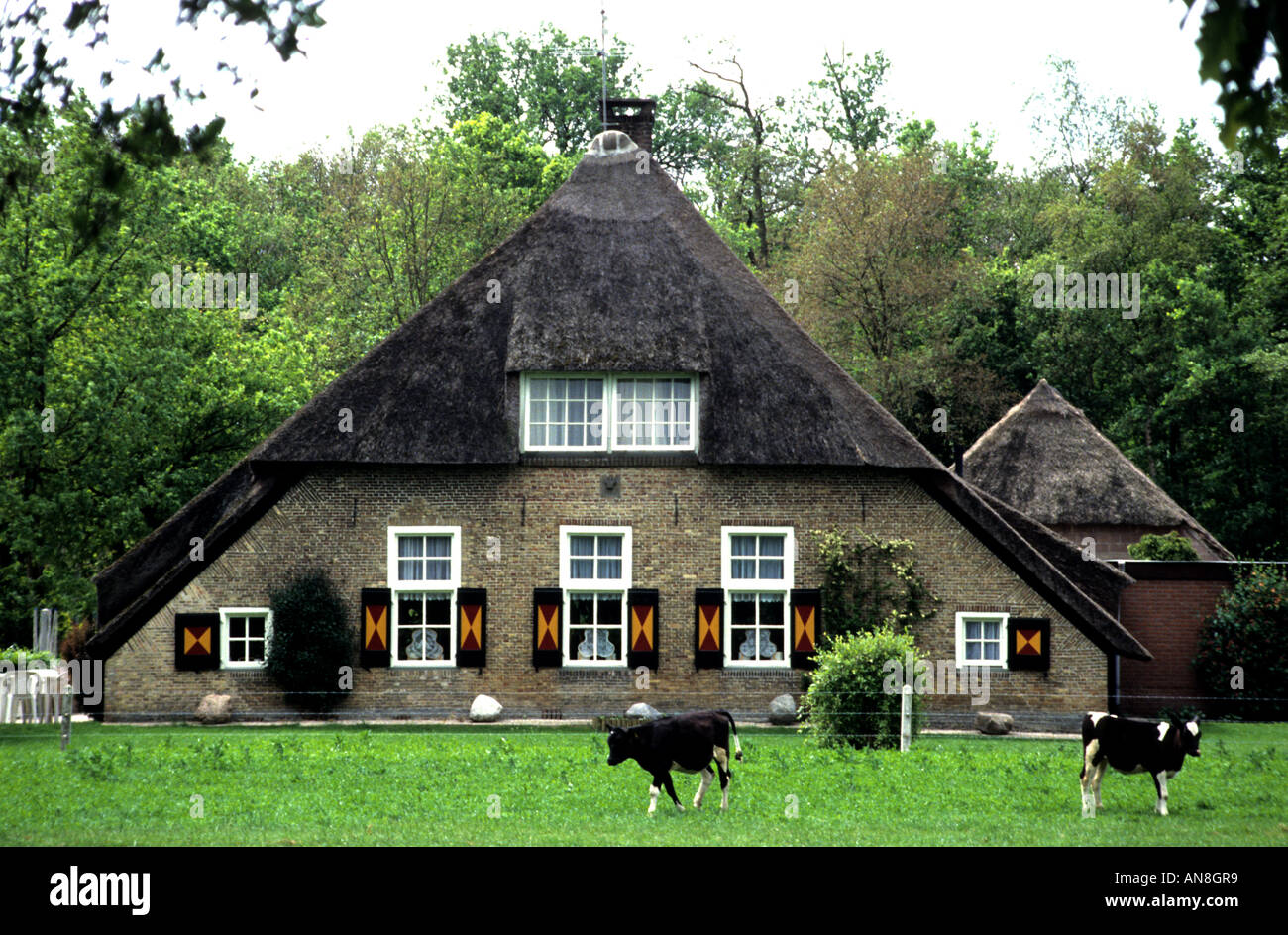 Gelderland farm Netherlands Holland Dutch Stock Photo - Alamy