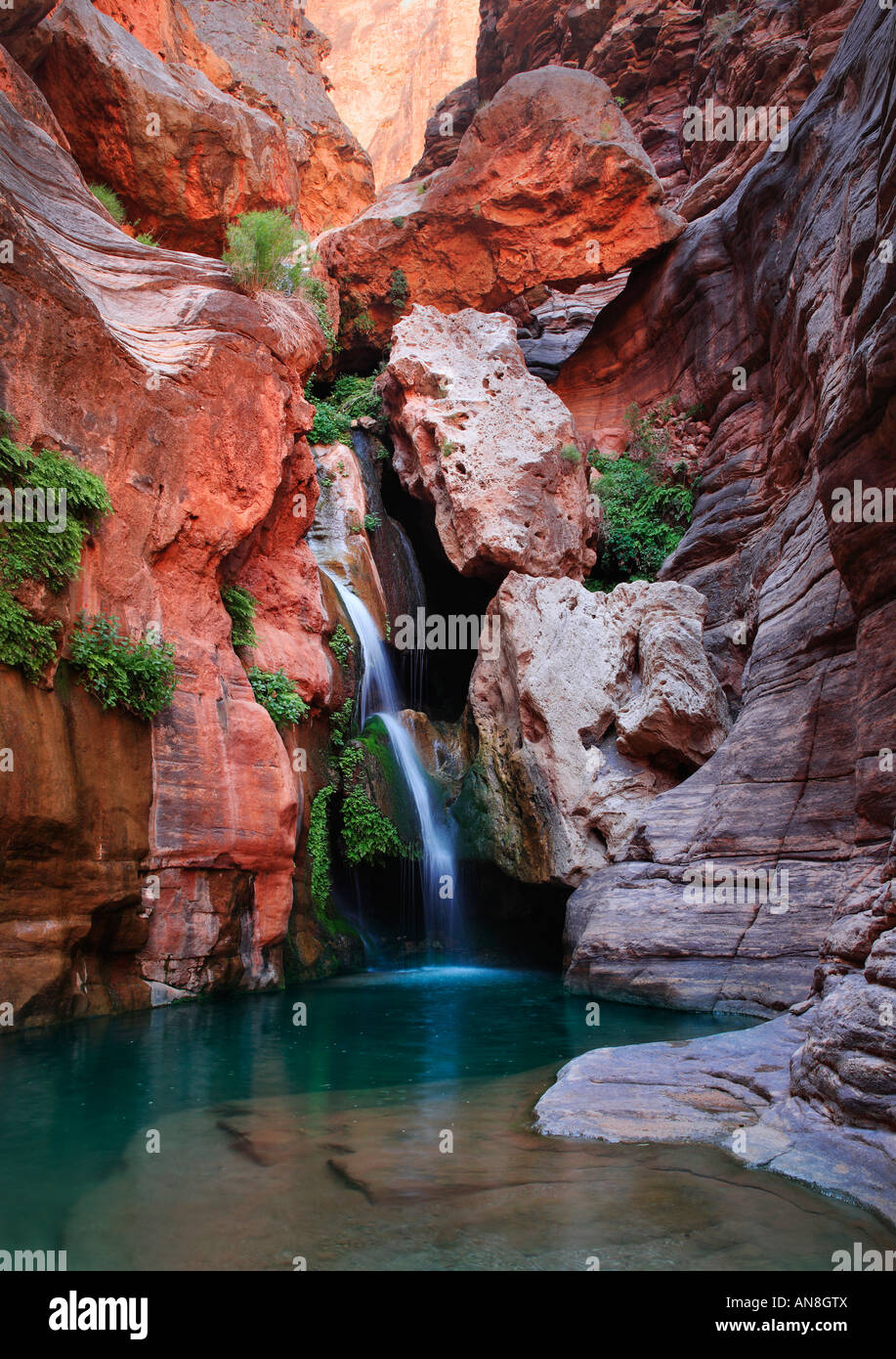 Elves Chasm waterfall in the interior of the Grand Canyon Stock Photo ...