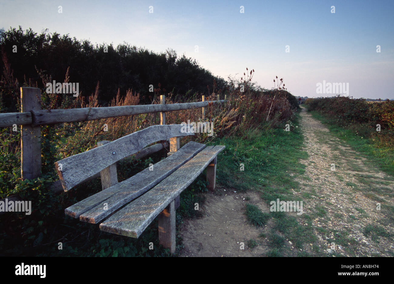 Bench and footpath Pagham Habour Sussex UK Stock Photo - Alamy