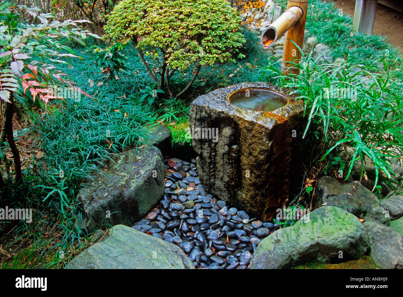 The garden at Kitain Temple at Kawagoe in Saitama Japan Asia Stock ...