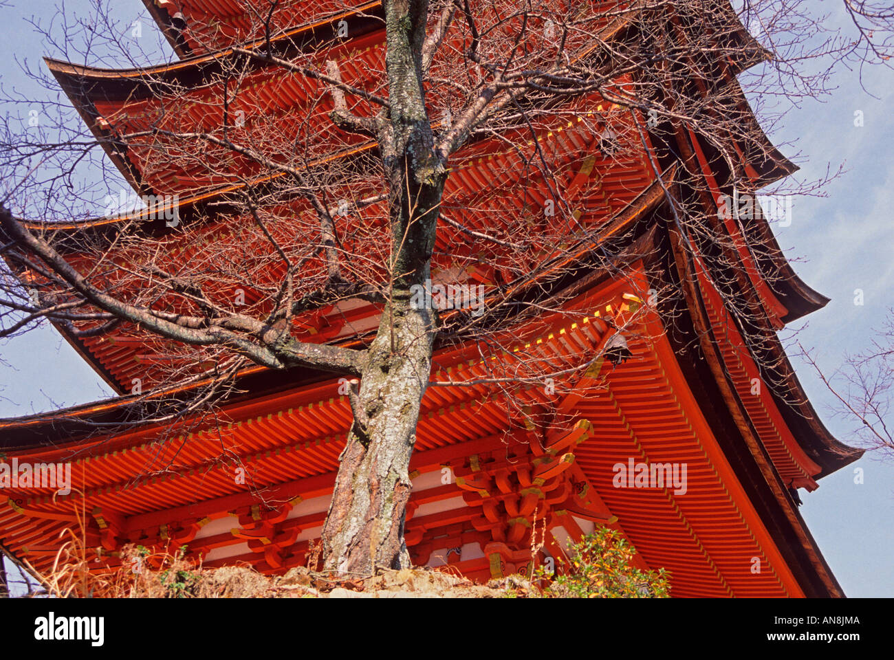 The roofs of five-storied pagoda of Itsukushima Jinja Shrine in ...
