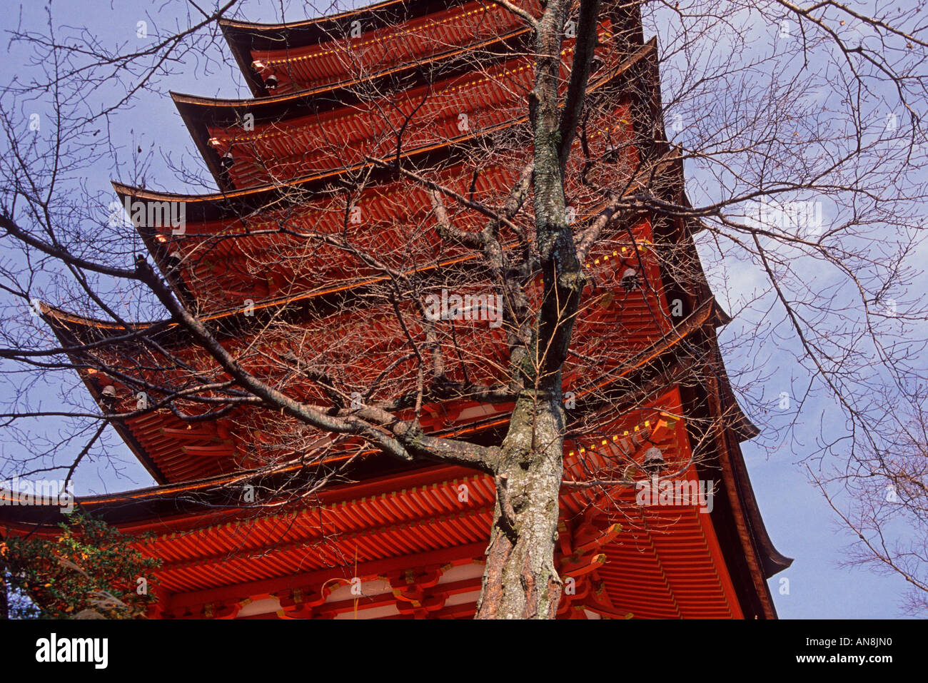 The roofs of five-storied pagoda of Itsukushima Jinja Shrine in ...