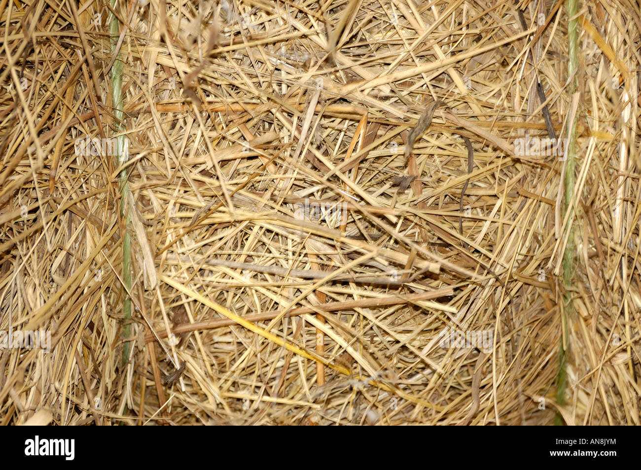 Bale of hay Stock Photo - Alamy