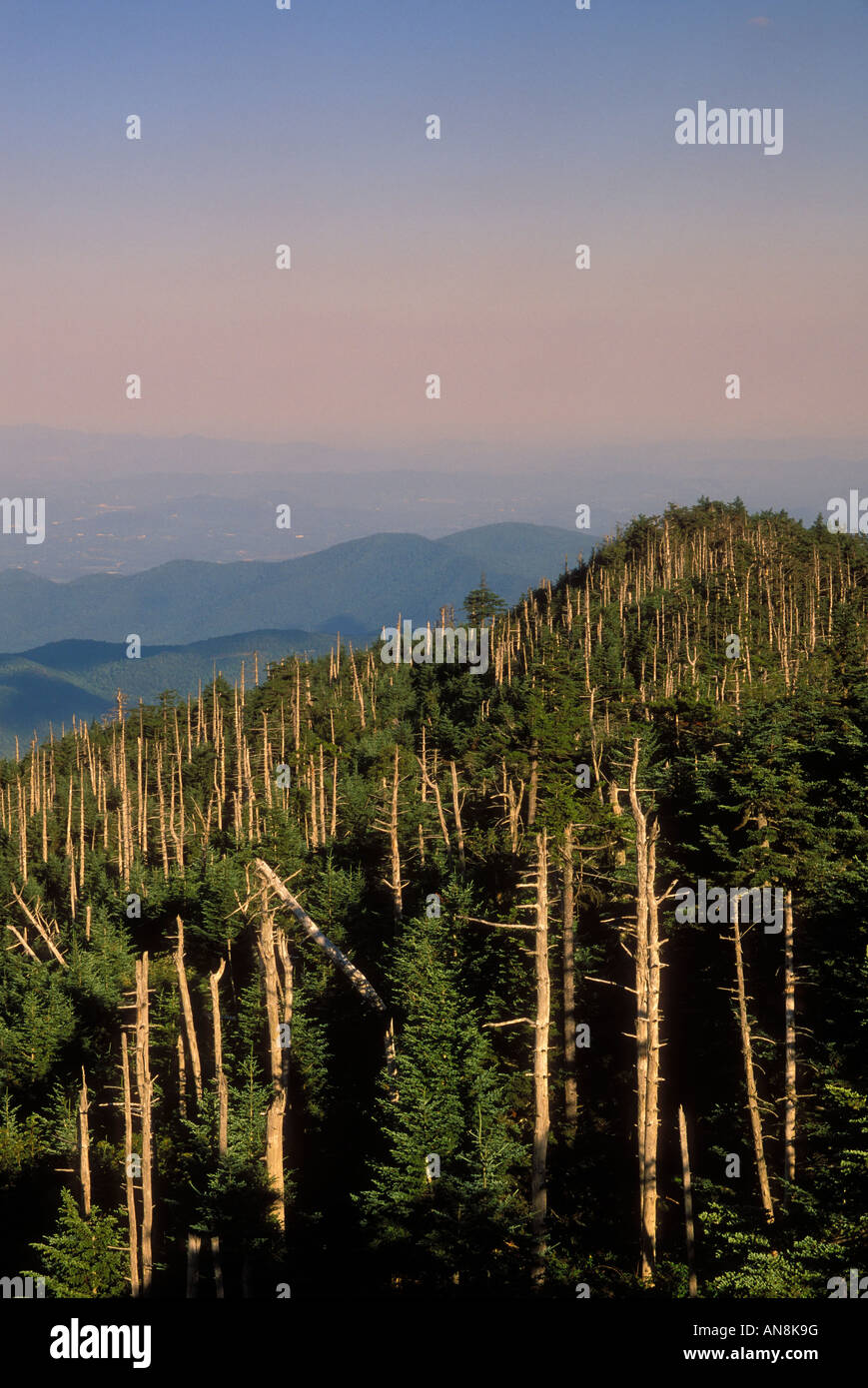 Mt mitchell hi-res stock photography and images - Alamy