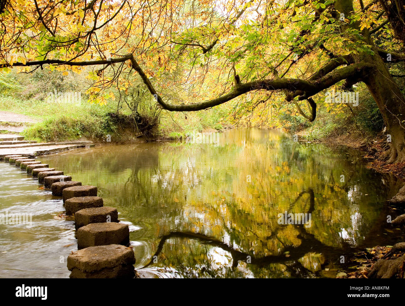 Surrey box hill stones hi-res stock photography and images - Alamy