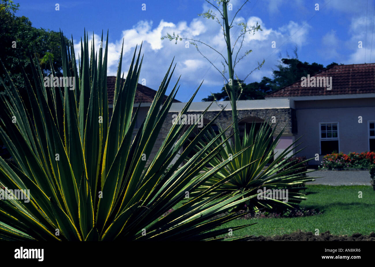 Fort hood landscape hi-res stock photography and images - Alamy