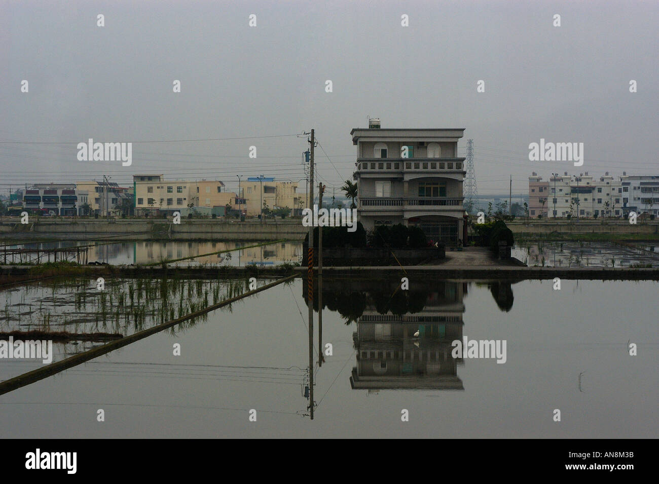 Upper class countryside house next to flooded rice fields Yilan county ...