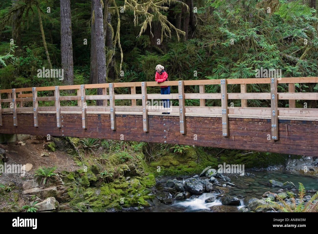 Woman crossing wooden bridge in Olympic national park Stock Photo - Alamy