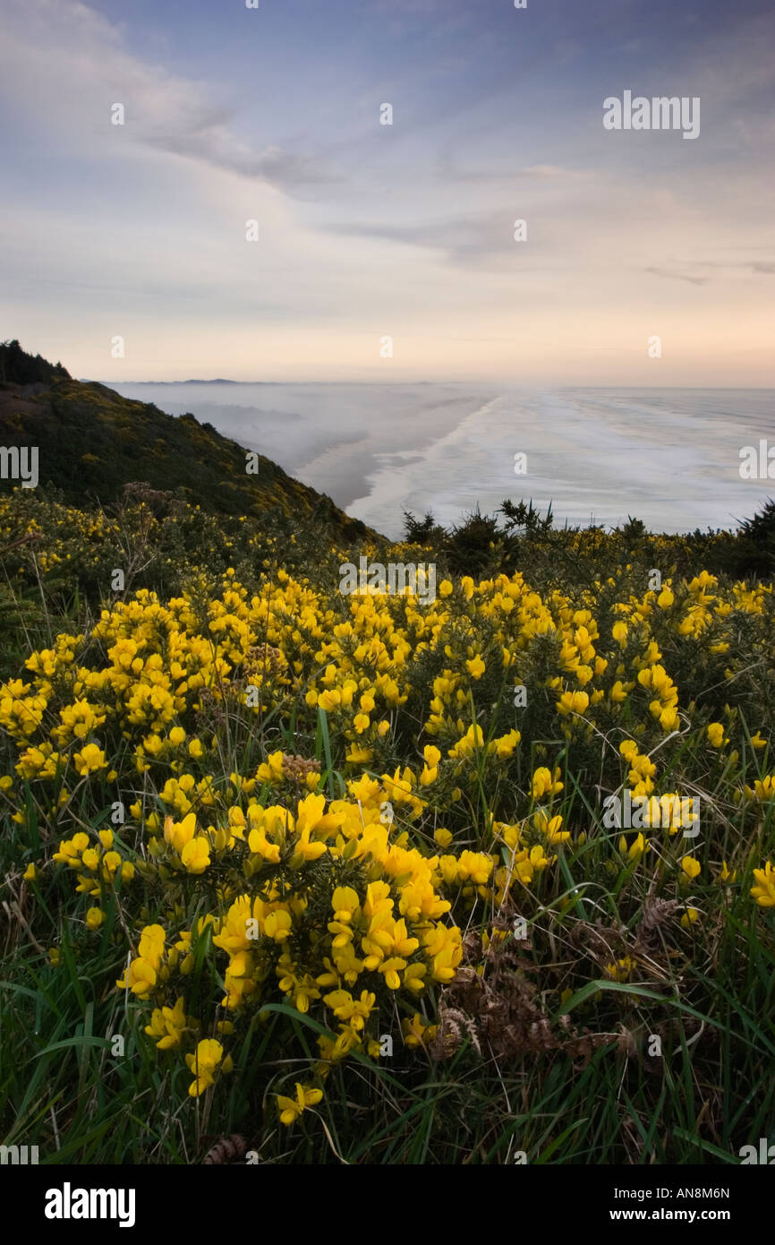 Stormy oregon coast sunset Stock Photo - Alamy