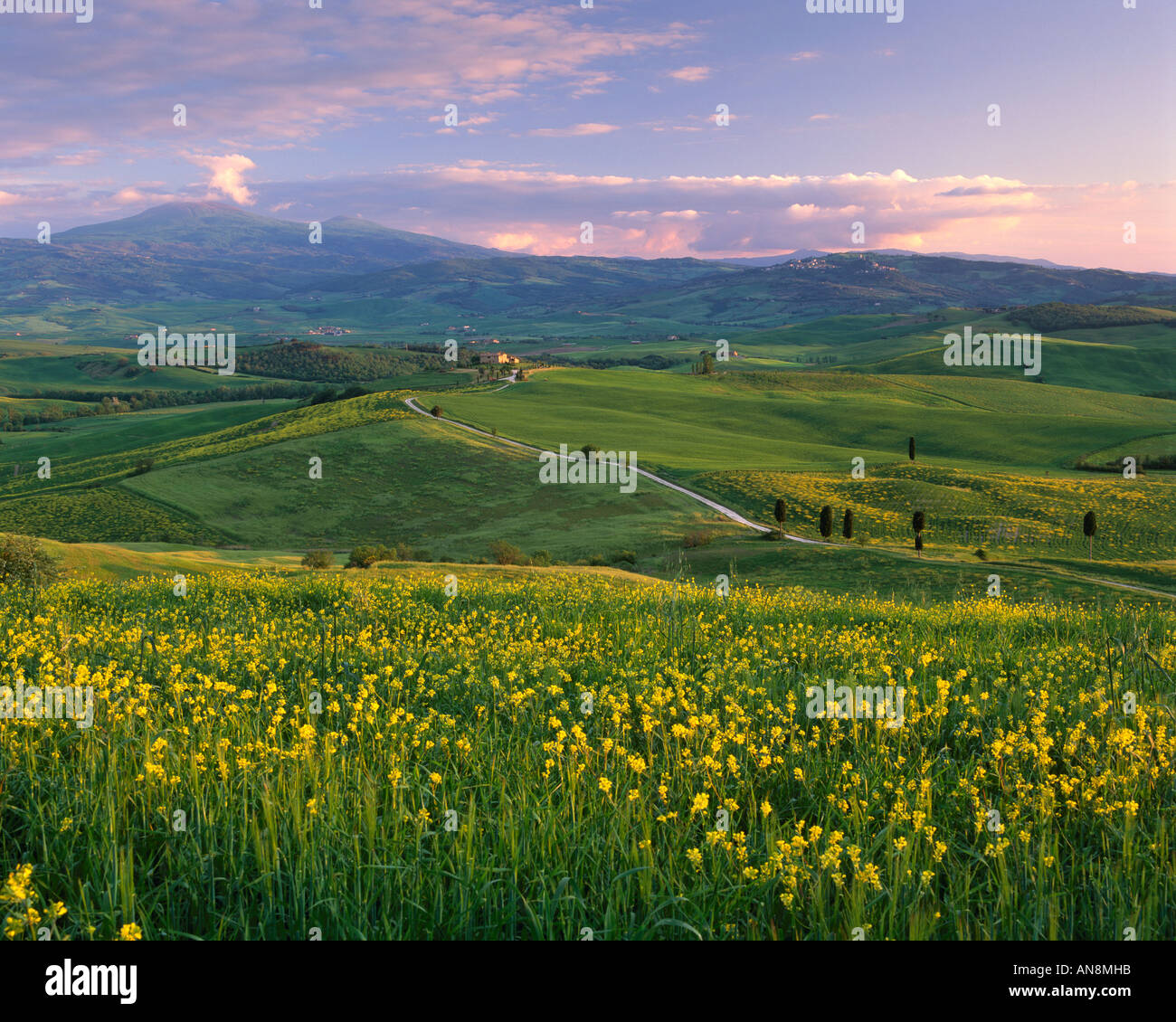 Hilltowns of tuscany italy hi-res stock photography and images - Alamy