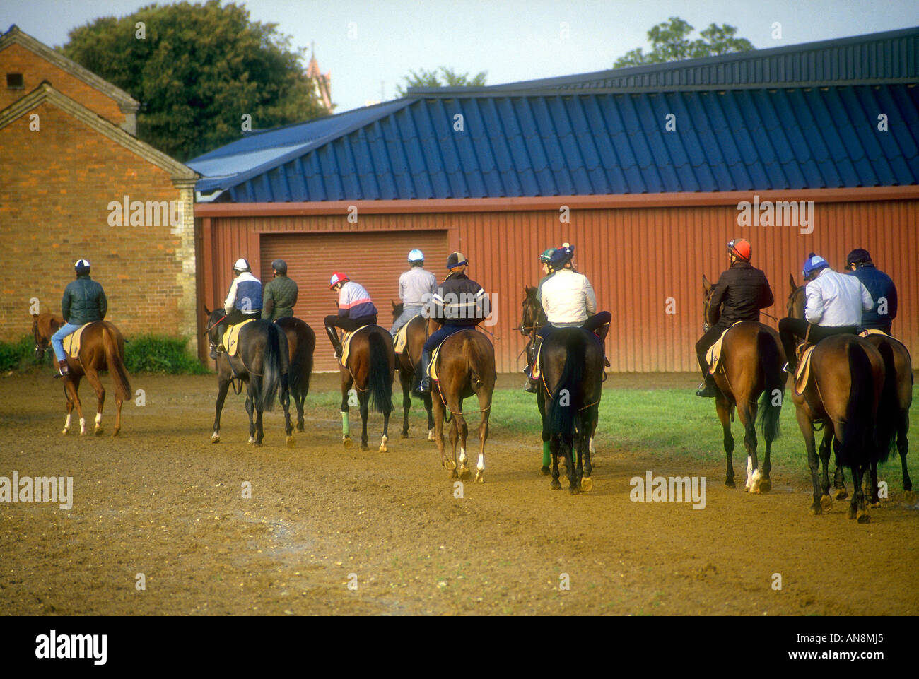 Stables newmarket suffolk england hi-res stock photography and images ...