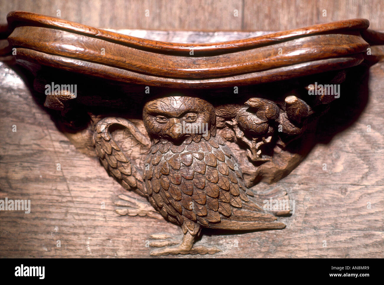 Misericord norwich hi-res stock photography and images - Alamy