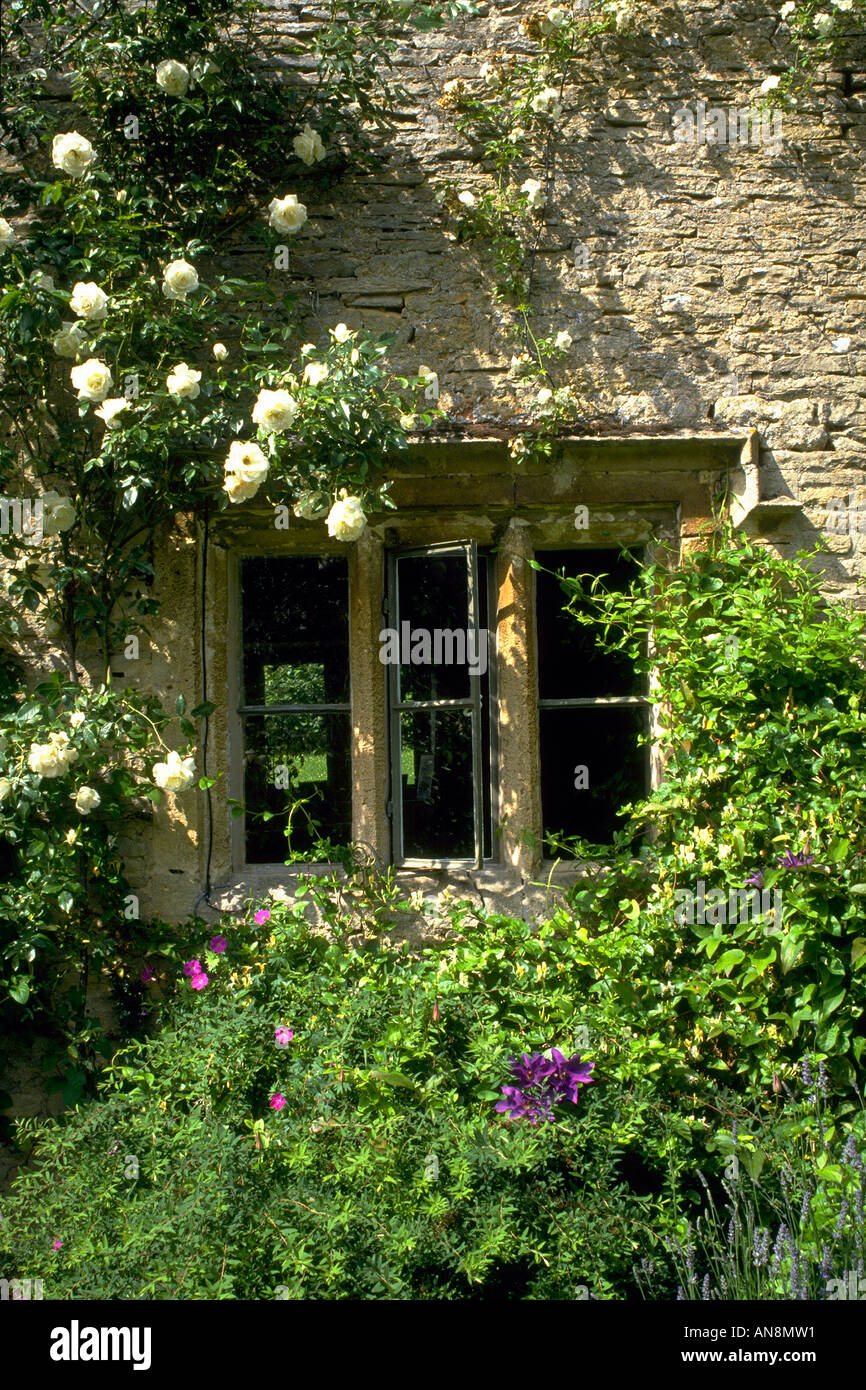 Detail of a window on a Cotswolds cottage framed by white climbing ...