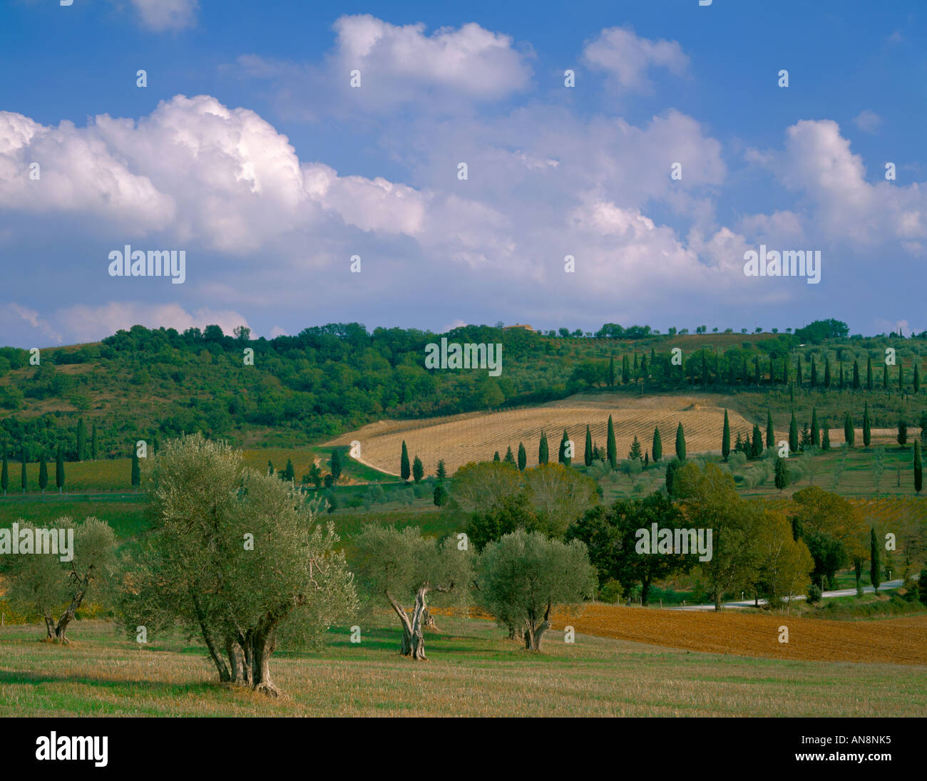 Rolling hills of Tuscany Stock Photo - Alamy