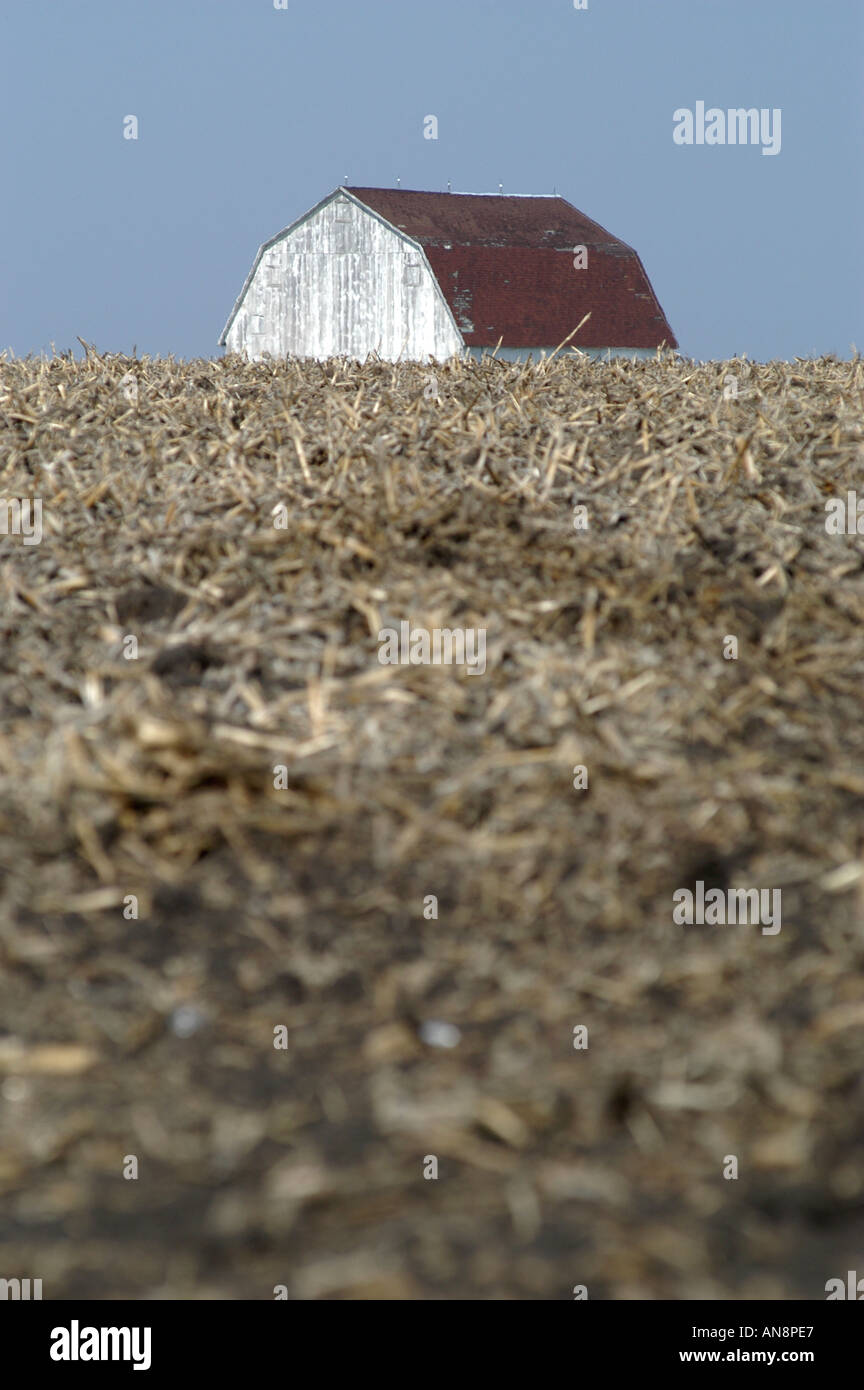 White barn and field in April Iowa Stock Photo - Alamy