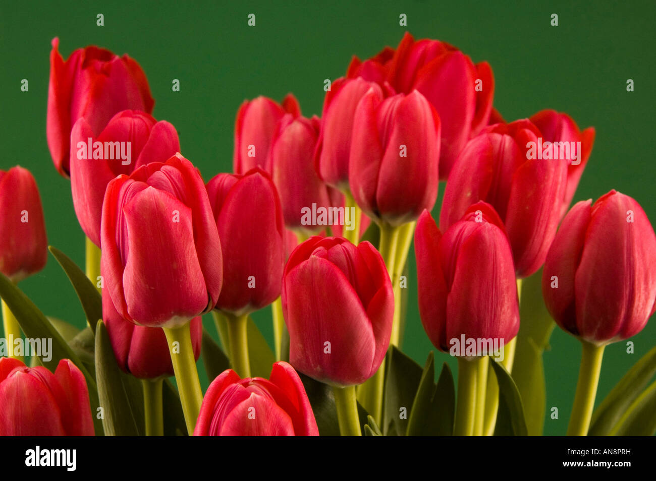 Glass vase bouquet Cut Out Stock Images & Pictures - Alamy
