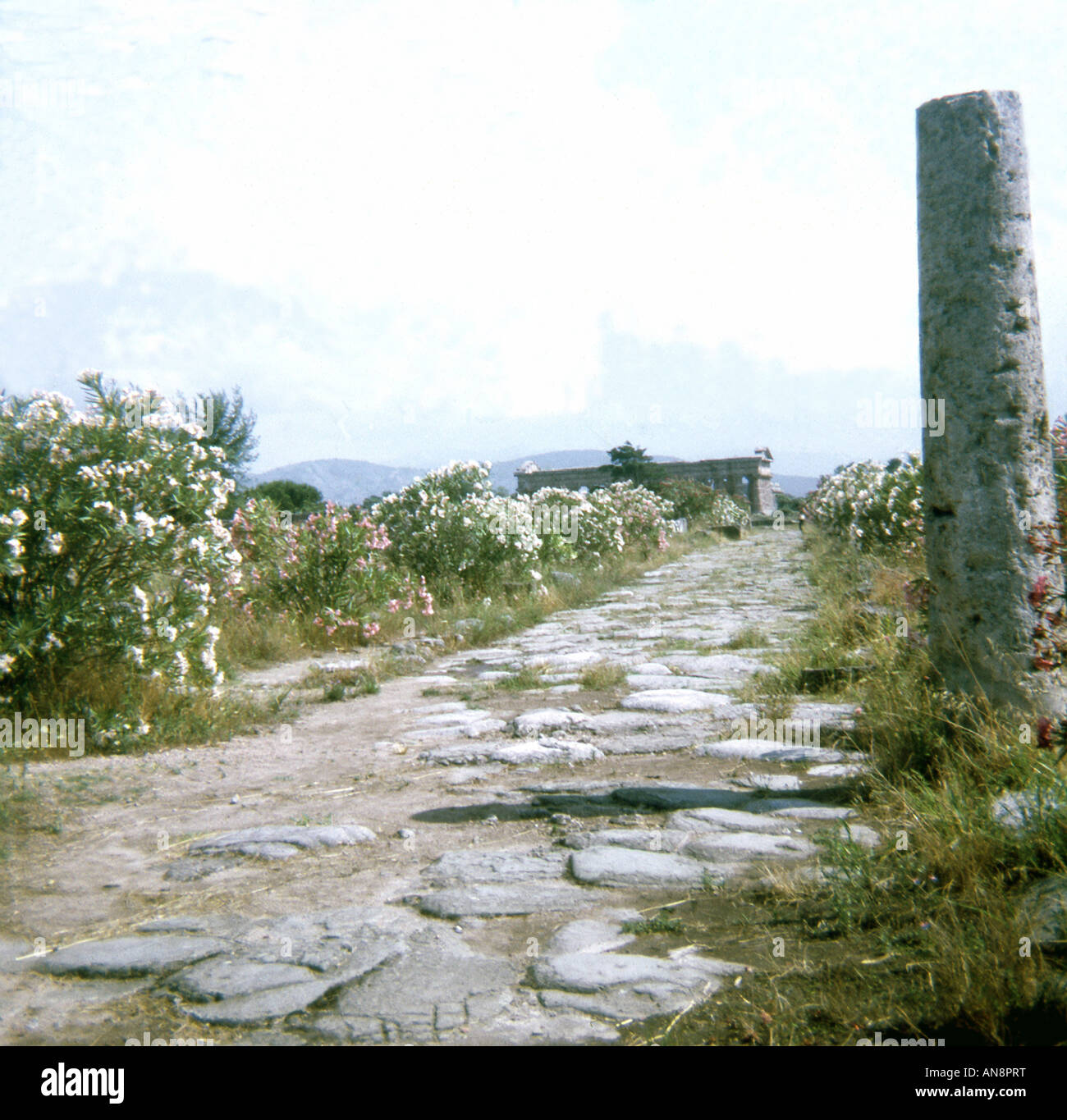 Ancient roman road hi-res stock photography and images - Alamy