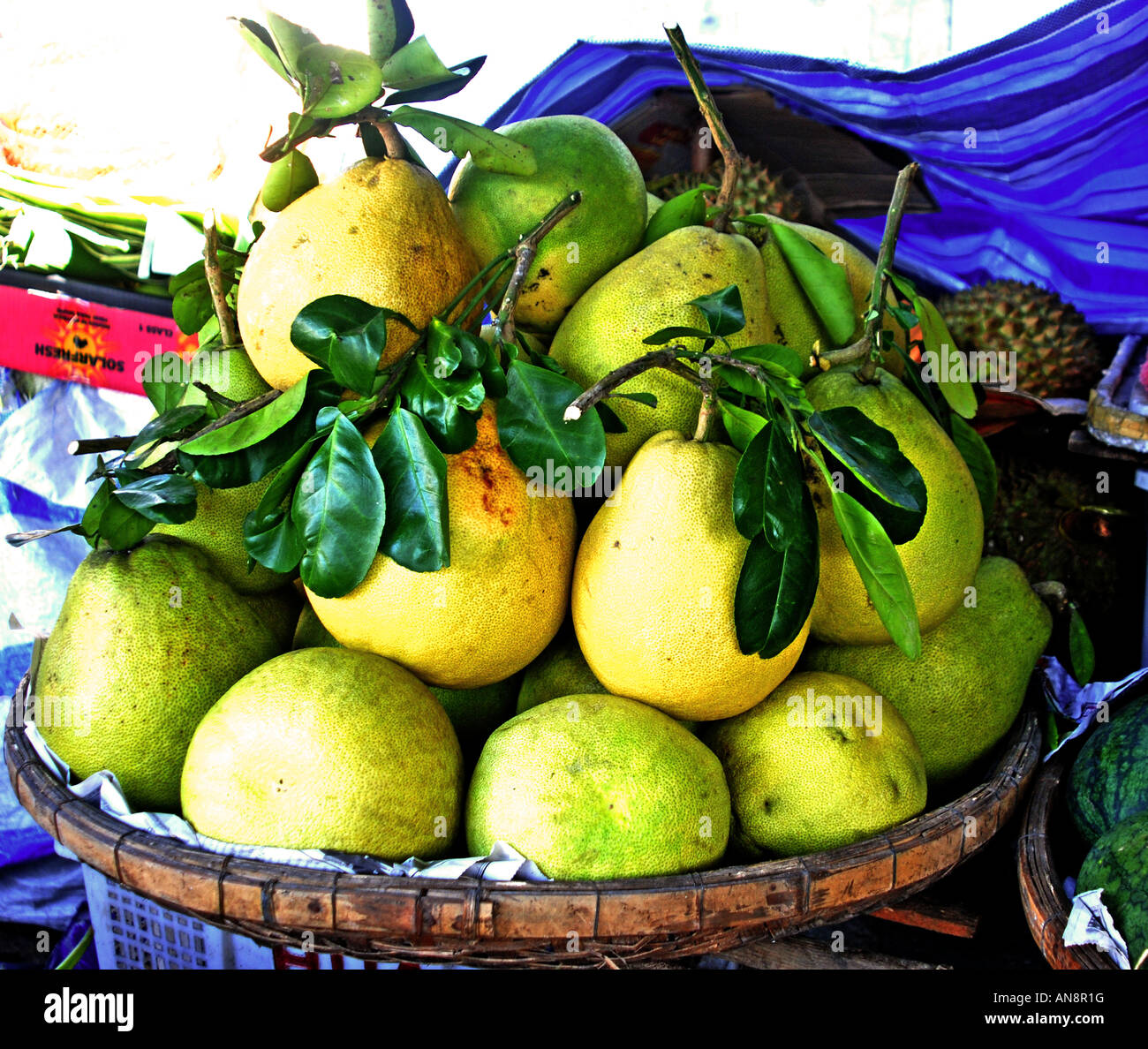 Market Local Saigon Ho Chi Minh city Vietnam Viet Nam Indochina ...