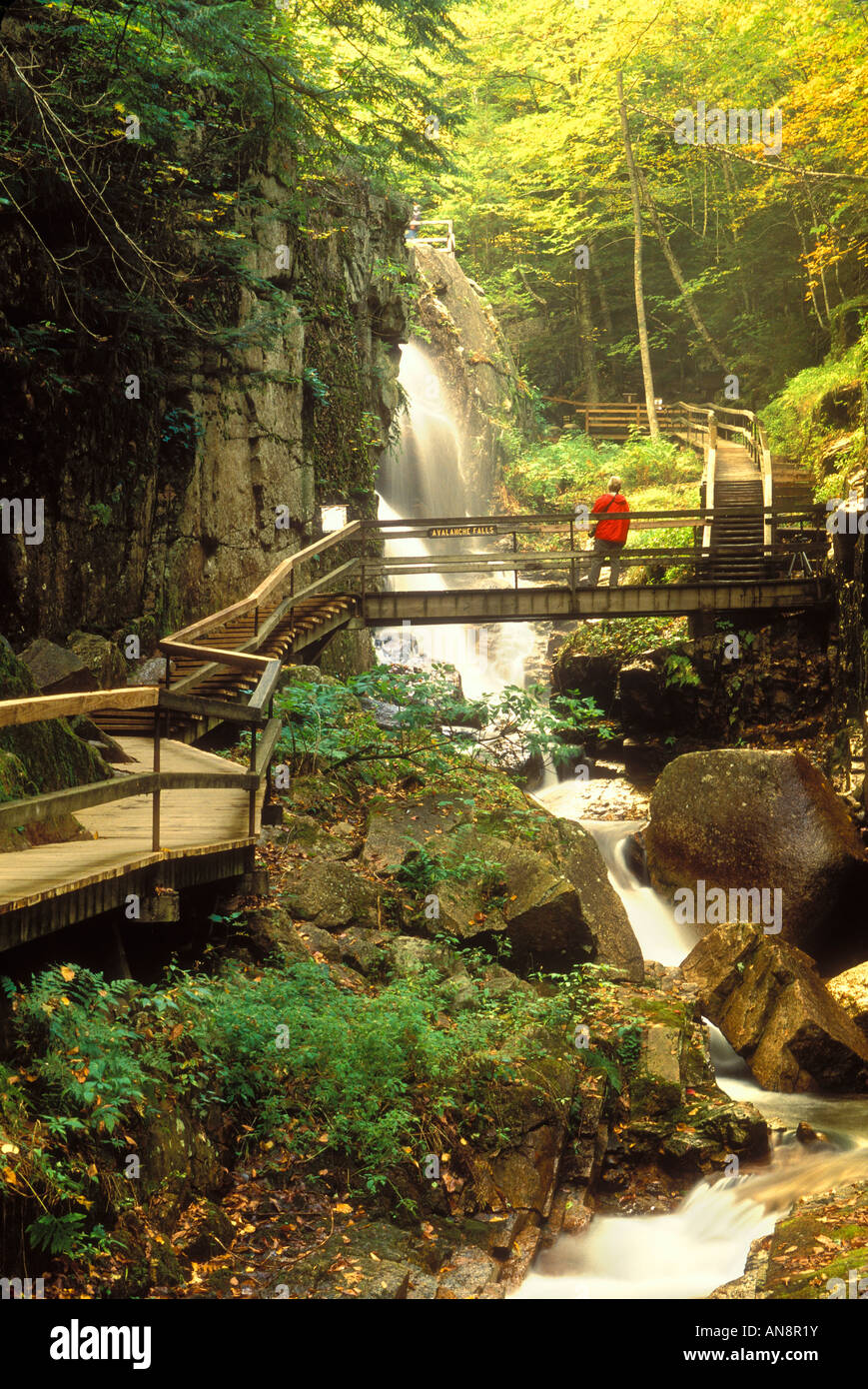 Flume gorge new england autumn hi-res stock photography and images - Alamy