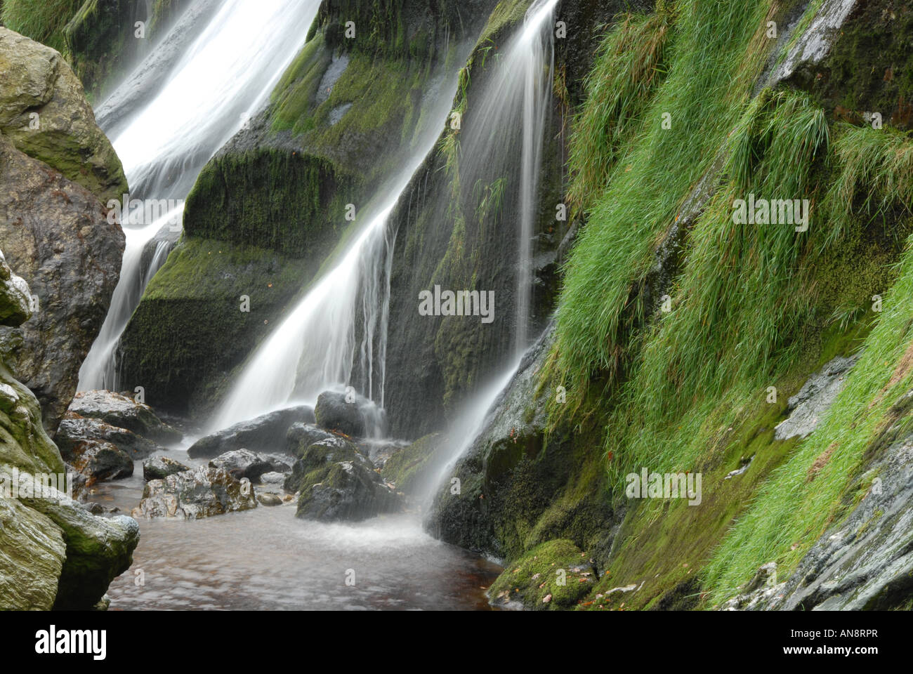 Powerscourt waterfall is the highest waterfall in southern Ireland and ...