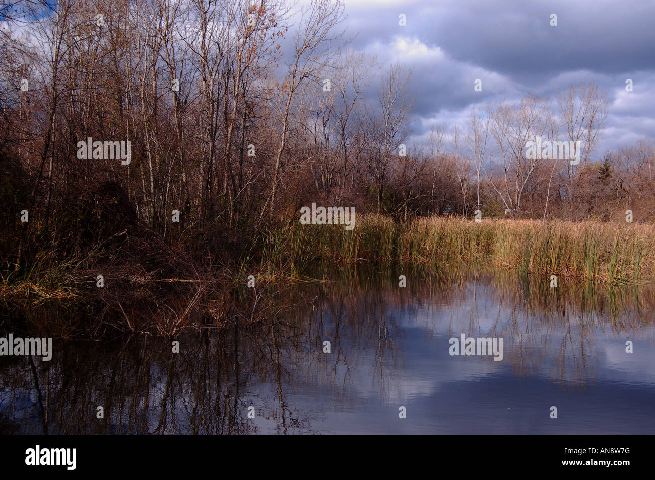 Autumn trees pond in hi-res stock photography and images - Alamy